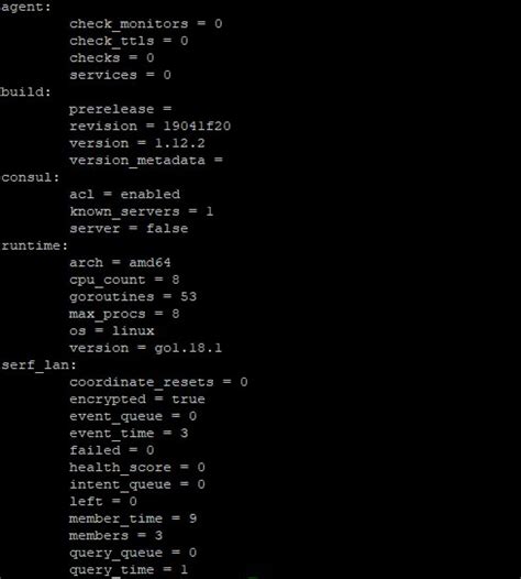 Patroni Is Gone From Consul Gui After Set Verifyclient As Requrired