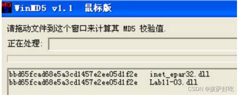恶意代码lab11 03分析 分析恶意代码lab11 03 exe和lab11 03 dll csdn博客