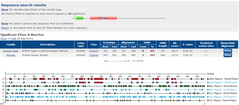Bioinformatics Analysis The Results Of Protein Function Prediction