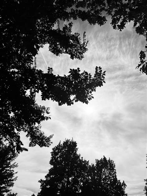 Pin Von Taylorzawacki Auf Project 2 Lightning Assignment