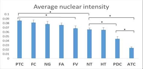 Malat1 Long Noncoding Rna Expression In Thyroid Tissues Analysis By In