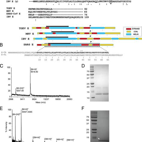 Pentameric Model Formed By E Tr Side A And Top B Views Of A Download Scientific