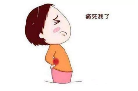 腰灵的准确位置图片 正脊的准确位置图 腰三针位置 大山谷图库