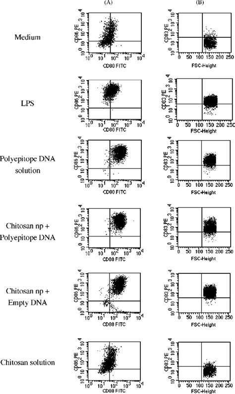 Surface Marker Expression Following Exposure To Different Chitosan Download Scientific Diagram