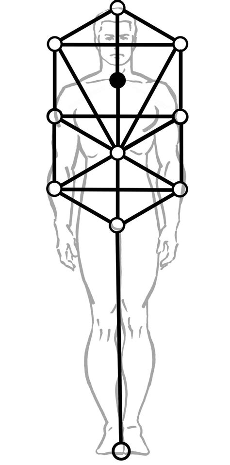 Tree Of Life Projection On Human Body Albero Della Vita Immagini Scienza