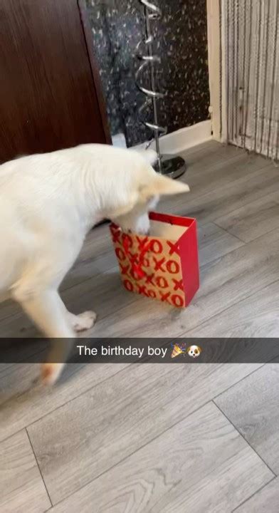 David Cunningham Ba Cldsc On Linkedin The Best Thing About My Birthday Today Is That I Get