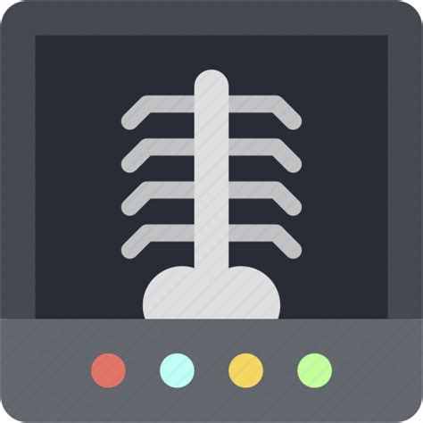 Radiography Checkup Test X Ray Body Part Icon Download On Iconfinder