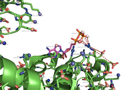 propka pymol wiki