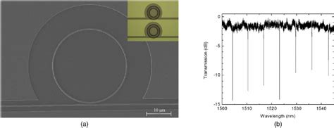 A Sem Image Of A Silicon Ring Resonator With The Silicon Bus Download Scientific Diagram