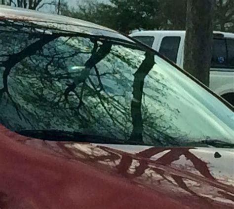 Reflection Visual Journal Visual Reflection