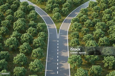 말 밤나무 숲 속의 갈림길의 Arial 이미지 결정하기 선택 옵션에 대한 개념 3d 렌더링 갈림길에 대한 스톡 사진 및 기타 이미지 Istock