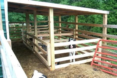 81 Ideas De Corral Para Cabras En 2021 Corral Para Cabras Cabras
