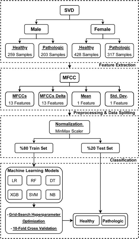 Machine Learning Models With Hyperparameter Optimization For Voice Pathology Classification On