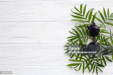 세련 된 블랙 선글라스 녹색 손바닥에 흰색 나무 바탕에 나뭇잎 여름 휴가 개념 플랫 하다 텍스트를 위한 공간입니다 현대 여행과 방 랑 벽 이미지 0명에 대한 스톡 사진 및