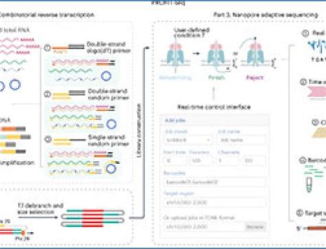A Comparison Of Rna Seq And Exon Arrays For Whole Genome Transcription Profiling Rna Seq Blog