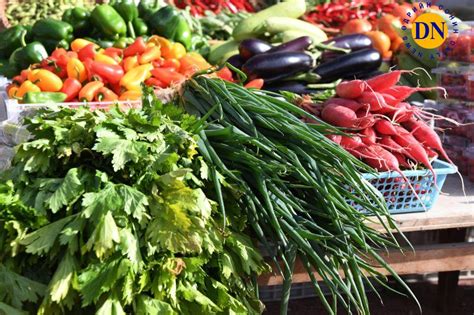 “Намрын ногоон өдрүүд Үндэсний үйлдвэрлэл 2025” нэгдсэн арга хэмжээ болно