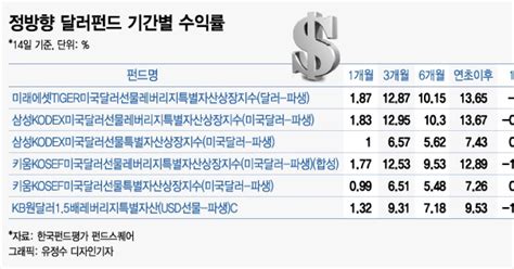 터키發 금융 위기 속 홀로 미소 지은 달러