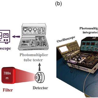 A Working Principal Diagram Of Digital NIR Sensor B Diagram Of The Download Scientific