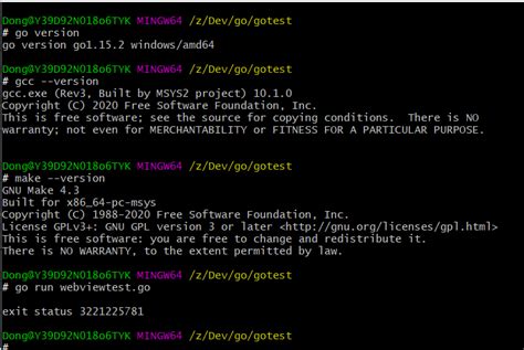 When Run Test Exit With Status 3221225781 · Issue 477 · Webviewwebview · Github