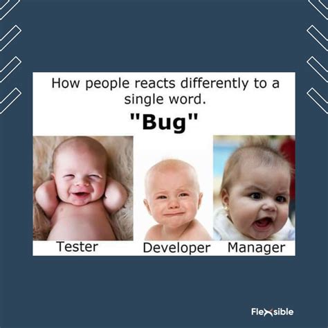 Flexsible On Linkedin Jokeoftheday Memeoftheday Bugs Testing