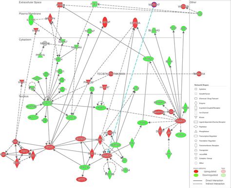 A Network Predicted From Genes Significantly Associated With The Diet