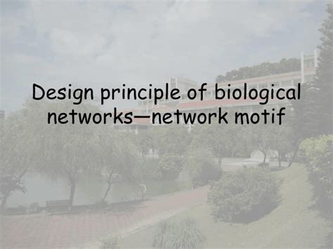 Design Principle Of Biological Networks—network Motif
