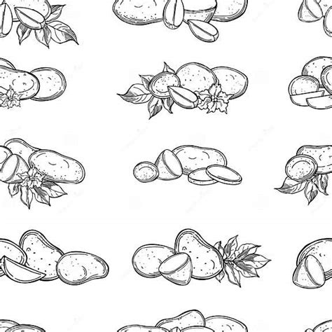 Patrón Vectorial Con Tubérculos De Patata Ilustración Del Vector Ilustración De Tubérculos