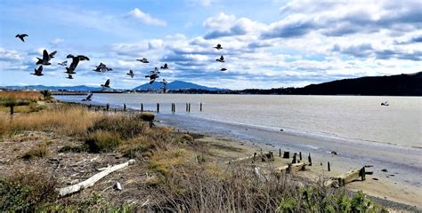 A Weekend In Benicia California Via