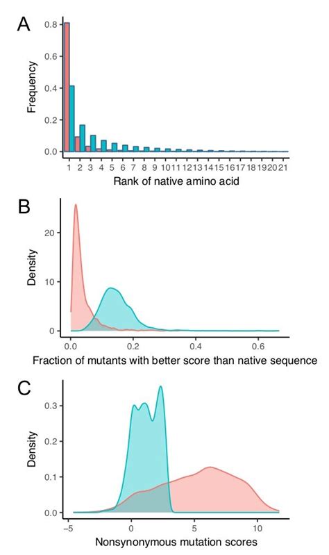 Predictions Of The Fitness Effects Of Non Synonymous Mutation Using The