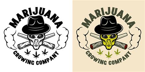 모자에 외계인 머리와 두 교차 잡초 관절 벡터 라운드 엠블럼 배지 라벨 또는 마리화나 성장 회사에 대한 로고 흰색과 컬러풀에