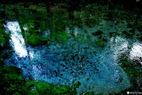 ตะลุยกินทั่วคุมาโมโตะ อาณาจักรแห่งอาหาร เมืองยามาโตะ มินามิอาโซะ มินามาตะ Matcha เว็บไซต์แม็ก