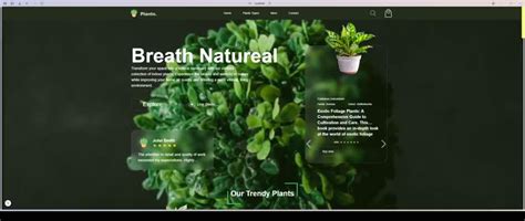 Webdevelopment React Nextjs Frontend Javascript Typescript Ricardo Camilo