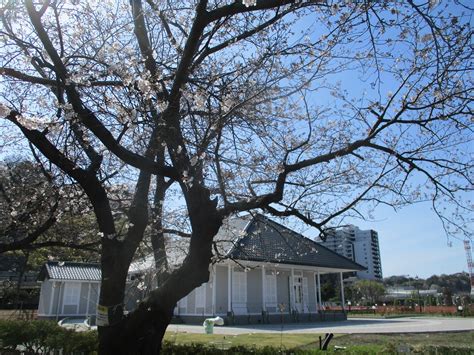 ティボディエ邸（3） すまい造りの佐野工務店 横須賀市追浜の工務店