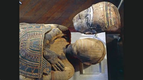 Il Mistero Di Bashiri La Mummia Egiziana Di Oltre 2mila Anni Fa Che Nessun Archeologo Osa