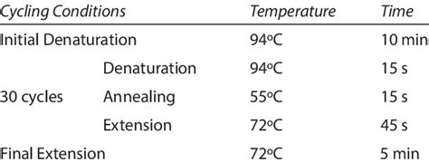 Master Cycler Conditions For Ddle Gene Download Scientific Diagram