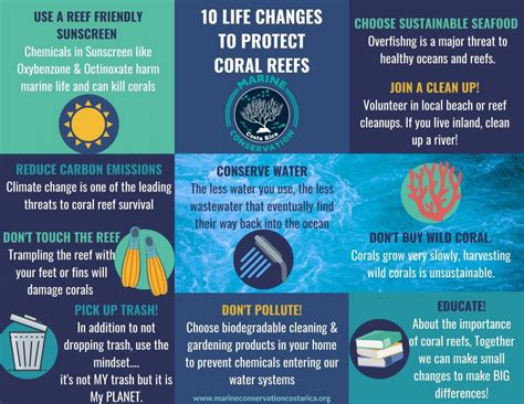 Infographics Marine Conservation Costa Rica