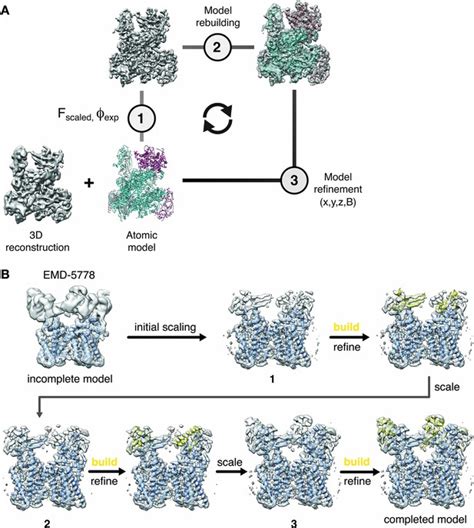 Model Based Local Density Sharpening Of Cryo Em Maps Elife