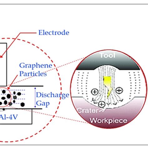Schematic Of Radial And Axial Dimensions And Definition Of The Download Scientific Diagram