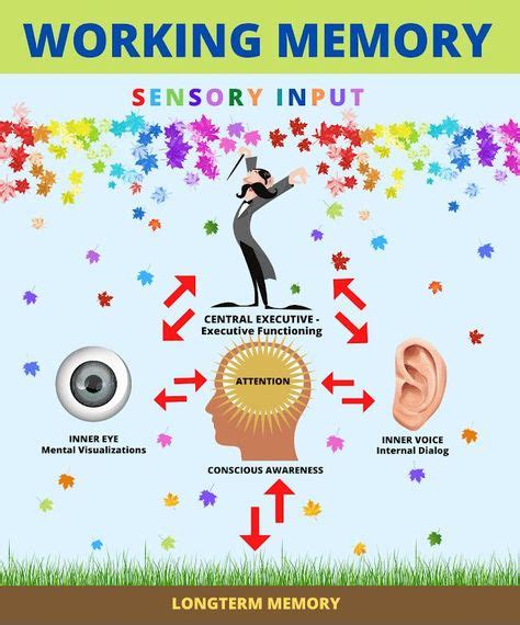 310 working memory ideas in 2021 working memory multisensory teachers learning