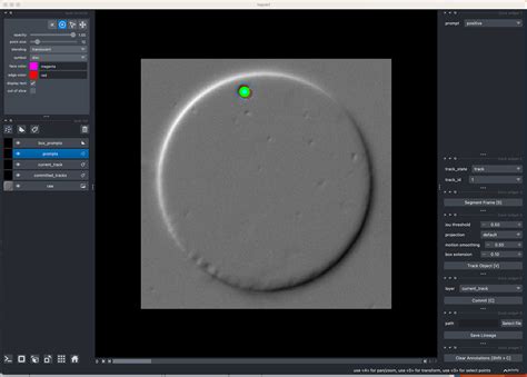 Tracking Fast Moving Cells Usage And Issues Imagesc Forum