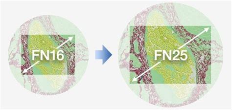 Enhance Your Microscopy Workflow • Healthcare In