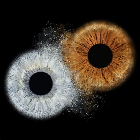 Max Kremer Photography