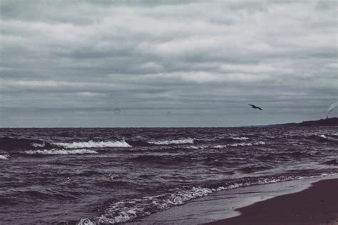 무료 이미지 바닷가 바다 연안 모래 대양 수평선 육지 웨이브 만 물줄기 스포츠 갯벌 바람 파도 서핑