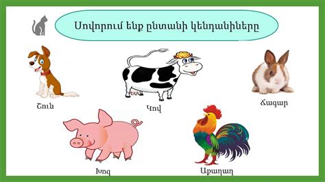 Զարգացնող առաջադրանքներ․ գույներ թվեր երկրաչափական պատկերներ իմացական ոլորտի զարգացում։ Youtube