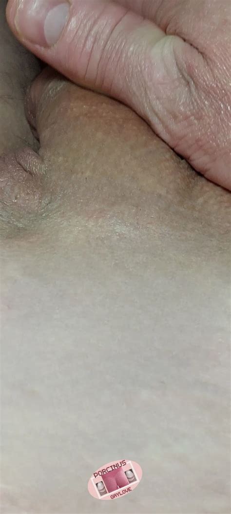 Pretty Penis 74 Pics Xhamster