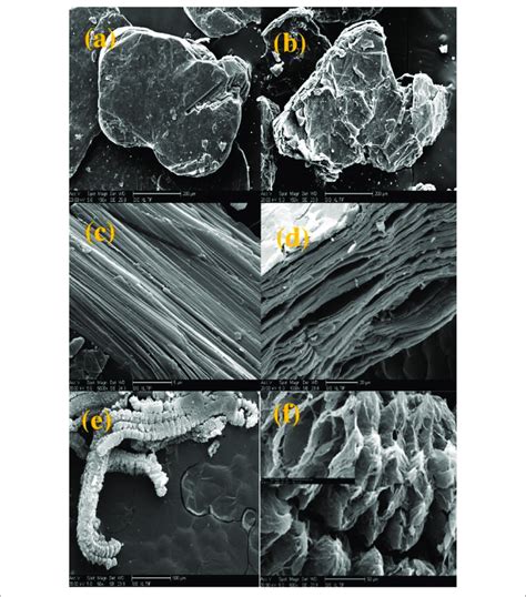 SEM Images Of Natural Graphite A C Intercalated Graphite B D And Download Scientific