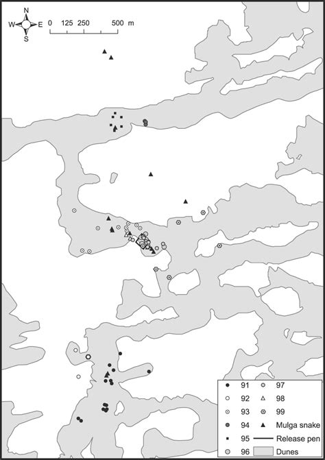 Predation By Snakes Thwarts Trial Reintroduction Of The Endangered Woma