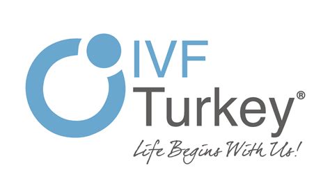 Can You Ovulate Twice In One Cycle Understanding Multiple Ovulation And Fertility