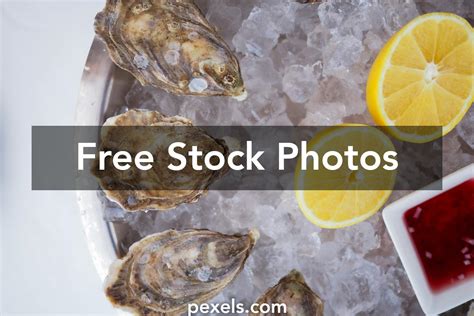 Oyster Selection Photos Download The Best Free Oyster Selection Stock