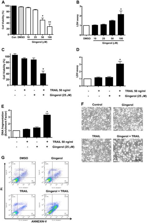 Gingerol Sensitizes Trail Induced Apoptotic Cell Death Of Glioblastoma